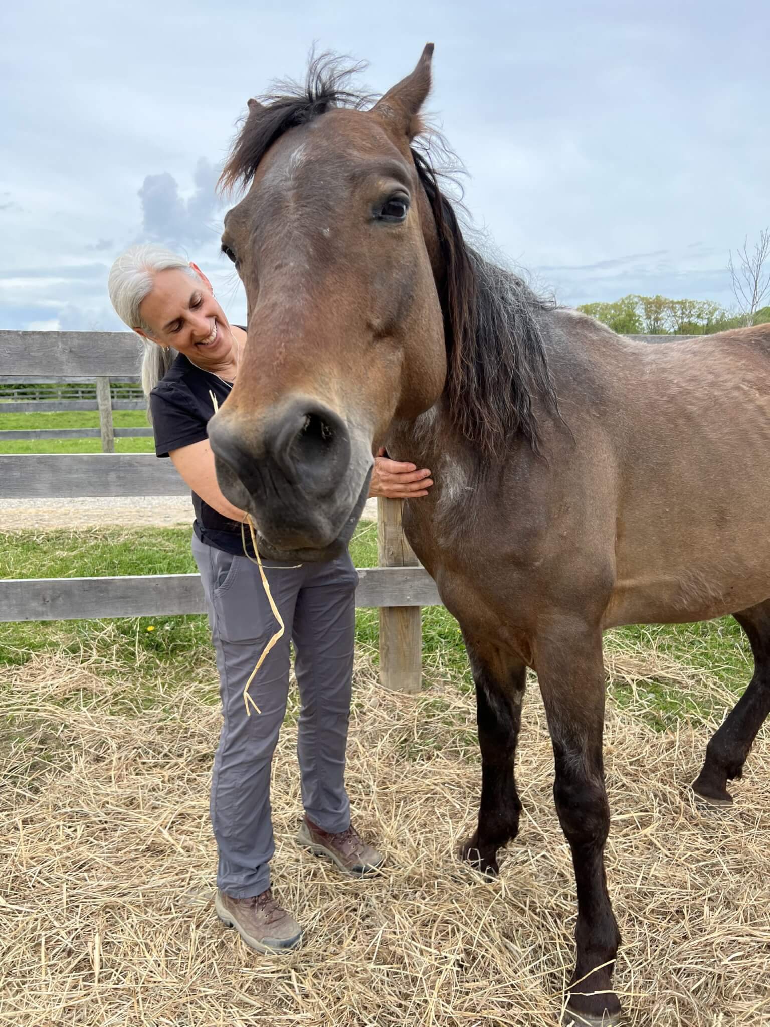 No Saddle Needed! - 13 Hands Equine Rescue Inc.
