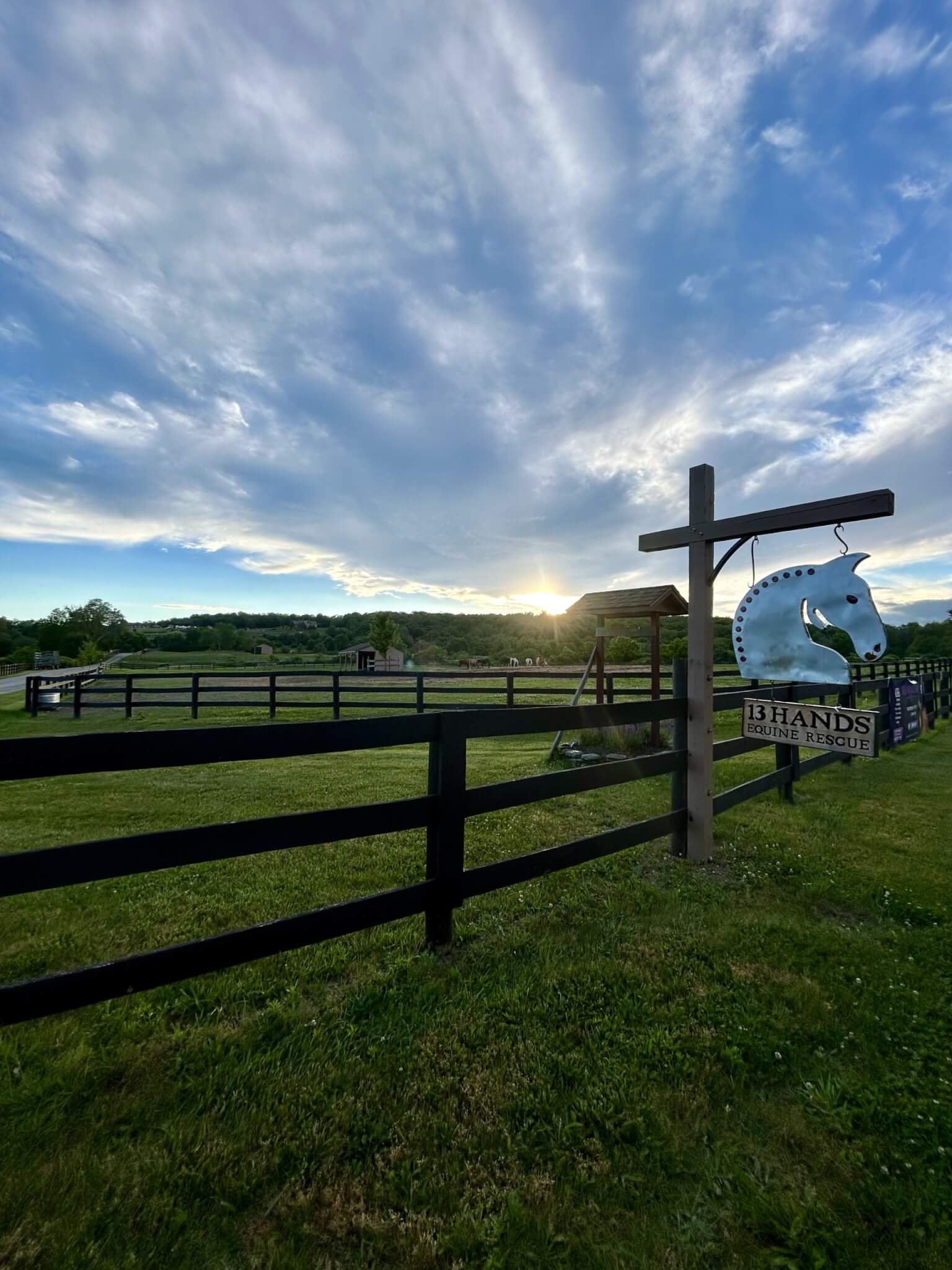 About Us | 13 Hands Equine Rescue Inc.