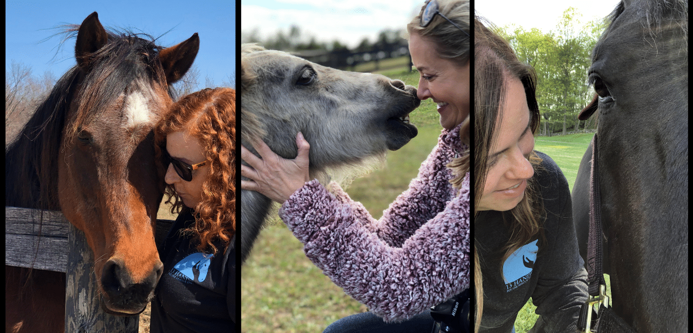 13 Hands Equine Rescue | Rescuing Horses | Changing Futures